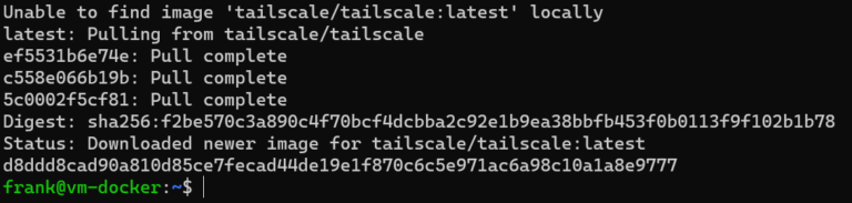 How to Set Up Tailscale on Docker - WunderTech