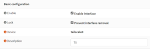 How to Set Up Tailscale on OPNsense - WunderTech